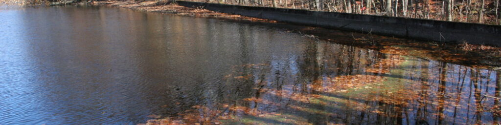 Upper Minkel Dam (Decommissioning) - Tectonic